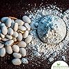 Each White Kaunch Beej Powder, Konch Seed, Safed Koch Ke Beej (200 ...