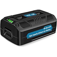 Amazon.com: Aoasur 6.0Ah Battery Replacement for Snow Joe 40V and Sun ...