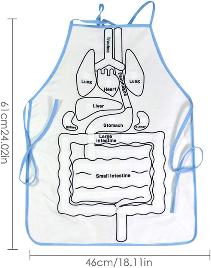 Aideal Children Learning Body Organs Apron Stuffed Toy Intuitional ...
