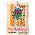 Amazon.com: Fancy Farms Popcorn Mini-Max Kit - 8 oz. kit, 36 per case