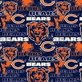 Amazon.com: Green Bay Packers Cotton Fabric - NFL Team Logo Cotton ...