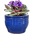 Amazon.com: Dphagesy African Violet Pots Self Watering Round Ceramic ...