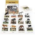 Amazon.com: Montessori Animal Match Game Cards Marine Animal Matching ...
