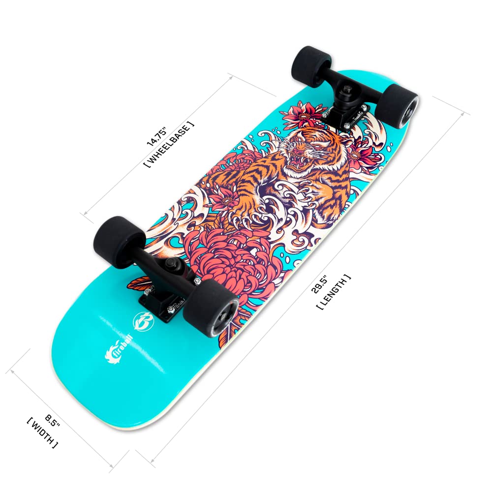 Mua Fireball Mini Cruiser Longboard Skateboard Complete - Fully ...