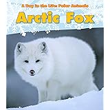 Amazon.com: Narwhal (A Day in the Life: Polar Animals: Heinemann Read ...