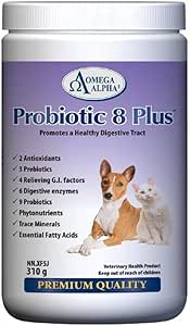 Omega Alpha Probiotic 8 Plus, Ensures Peak Digestive Performance, 310 g ...