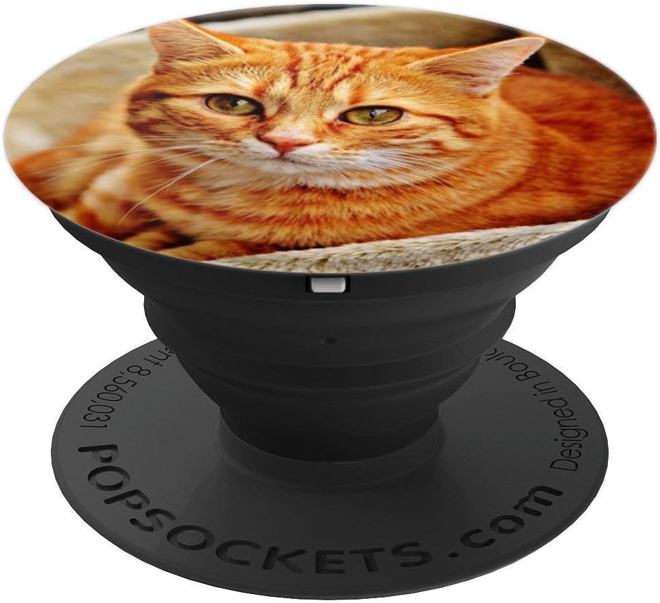 Amazon.com: Cat Pop Socket Cute Kitty Face Animal Lovers Design ...