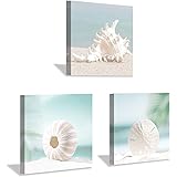 Amazon.com: Hardy Gallery Ocean Theme Pictures Wall Art: Starfish and ...