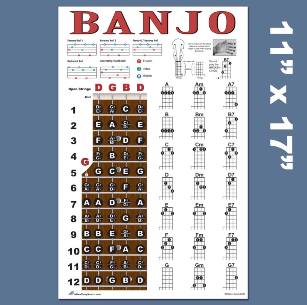 Mua Banjo Easy Chords Rolls & Fretboard Note Chart Instructional Poster ...