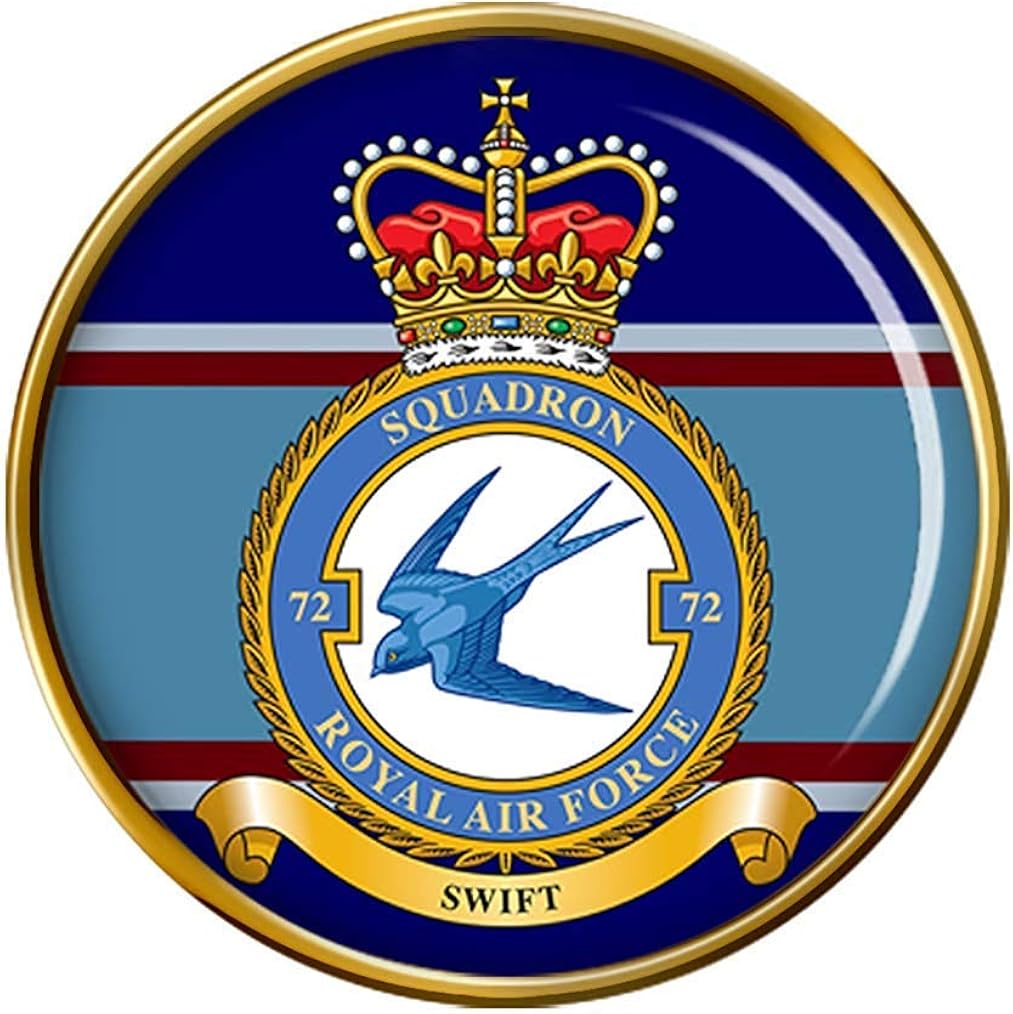 72 Squadron, RAF Pin Badge : Amazon.co.uk: Clothing