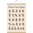 Amazon.com: 5M BOX American Sign Language Poster – ASL Wall Art for ...