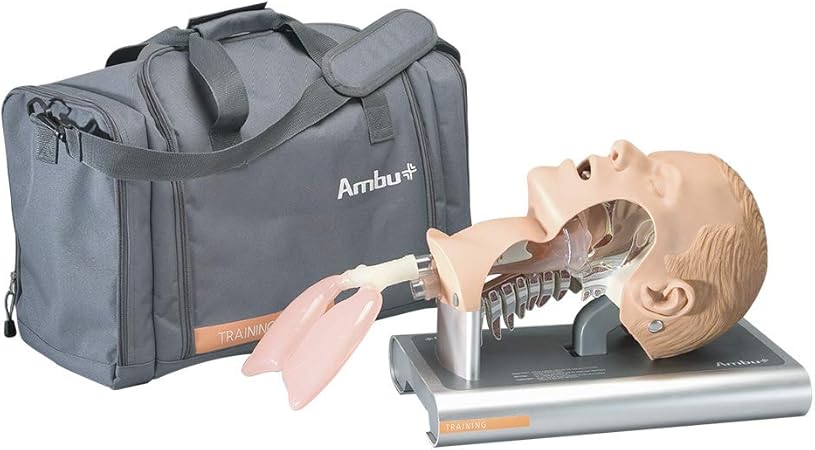 Intubable Head Ambu Airway Management Trainer for Airway Management ...