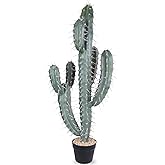 Amazon.com: Huisezing Artificial Cactus Fake Cacti 62" Faux Potted ...