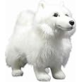 Amazon.com: FRANKIEZHOU Realistic Samoyed Stuffed Animal-White 12",Dog ...