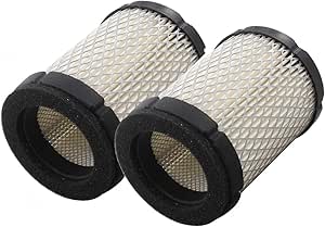 Amazon.com: 140-3280 Air Filter for Onan 3600 4000 MicroQuiet RV ...