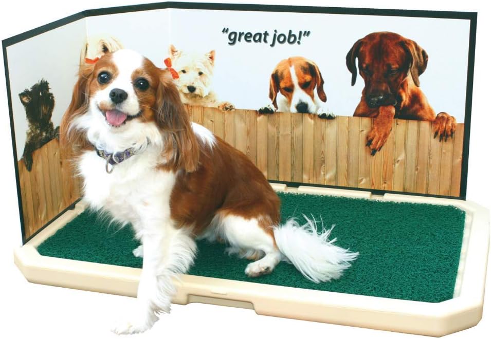 PetSafe Piddle Place Pet Potty Bio+ Concentrate, 3 pack, Odour Removal ...