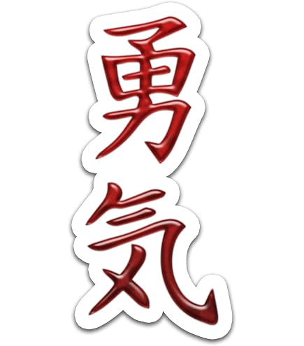 Ninja Kanji Sticker Vinyl Decal Kawasaki Japanese Shinobi