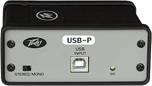 Amazon.com: Peavey USB-P USB Playback : Electronics
