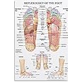 Amazon.com: Posters Foot Reflexology Poster Foot Acupuncture Point ...