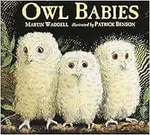 Owl Babies: Waddell, Martin, Benson, Patrick: Amazon.com: Books