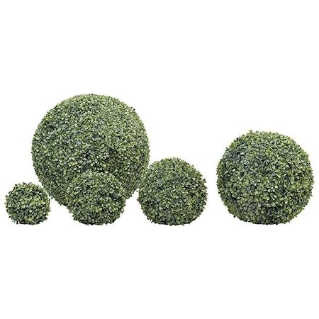 Verdemax 5689 22 cm Privet Ball: Amazon.co.uk: Garden & Outdoors