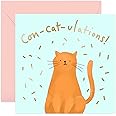 Amazon.com : Old English Co. Con-cat-ulations Card - Funny Cute Well ...