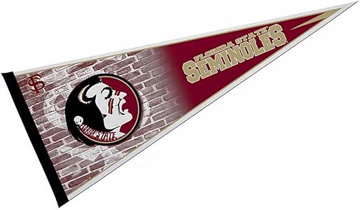 Amazon.com : Rico Industries NCAA Florida State Seminoles Pennant ...