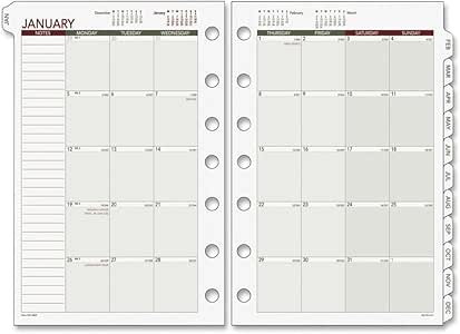 Amazon.com : Day Runner Express Recycled Monthly Planning Pages, 8-1/2 ...