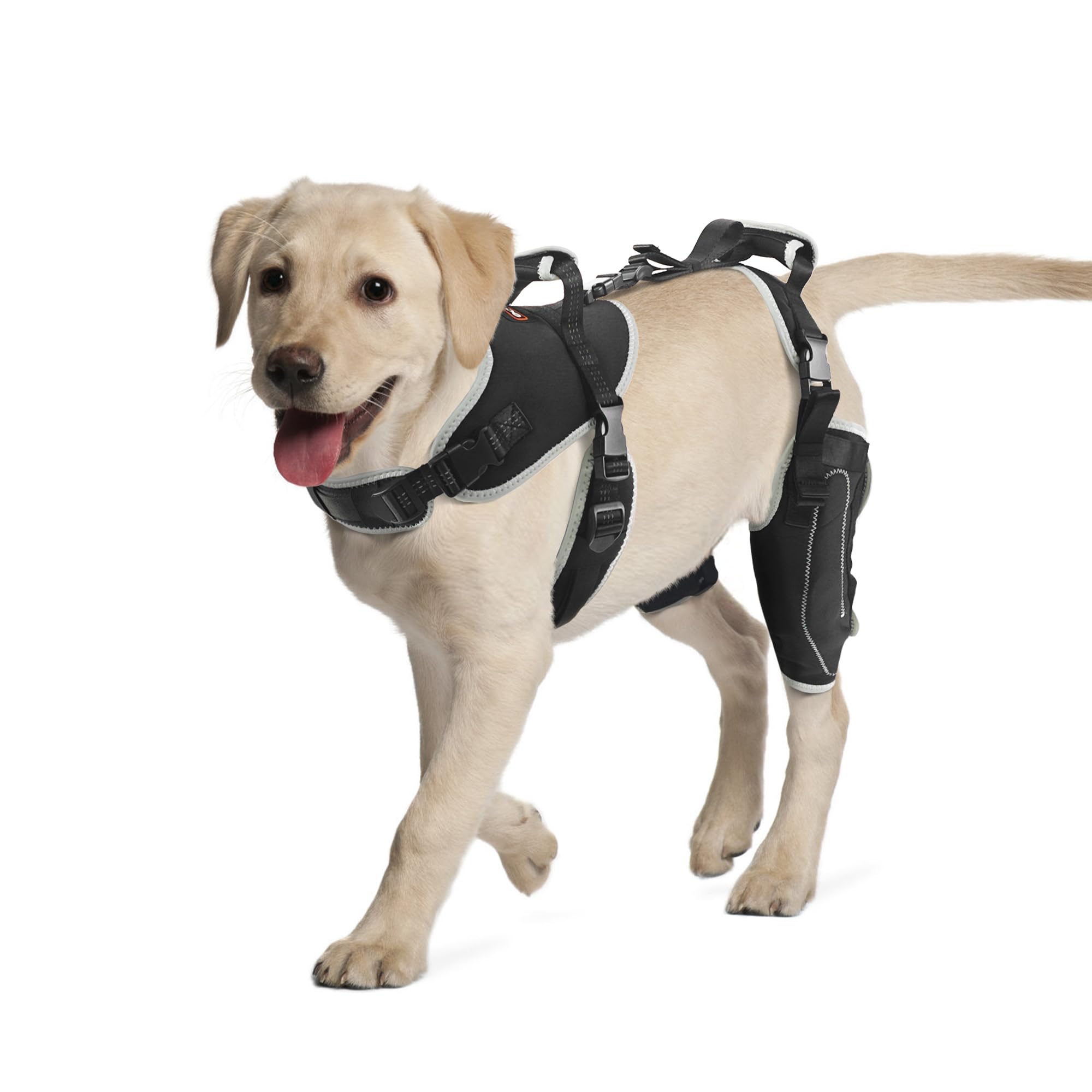 LISPOO Dog Knee Brace for Luxating Patella and Torn ACL Cruciate ...