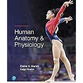 Amazon.com: Human Anatomy & Physiology Laboratory Manual, Cat Version eBook : N, Marieb Elaine ...