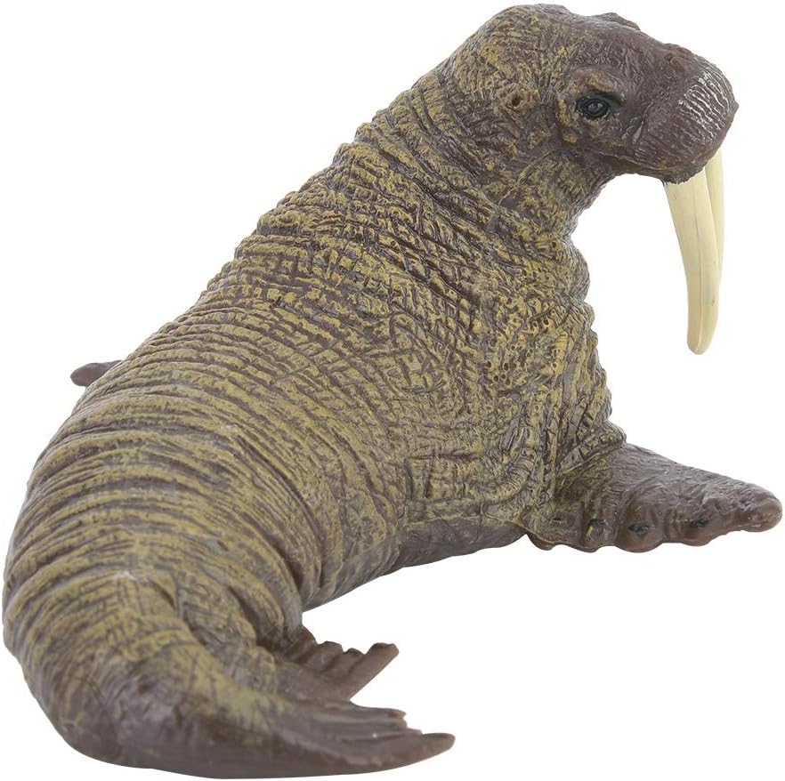 Marine Animal Model Toy, Miniature Realistic Science Plastic Animal ...