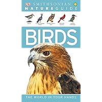 Nature Guide: Trees: The World in Your Hands (DK Nature Guides ...