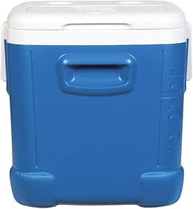 Amazon.com : Igloo Ice Cube Cooler 48 Quart Pearl Blue/White #13012 ...