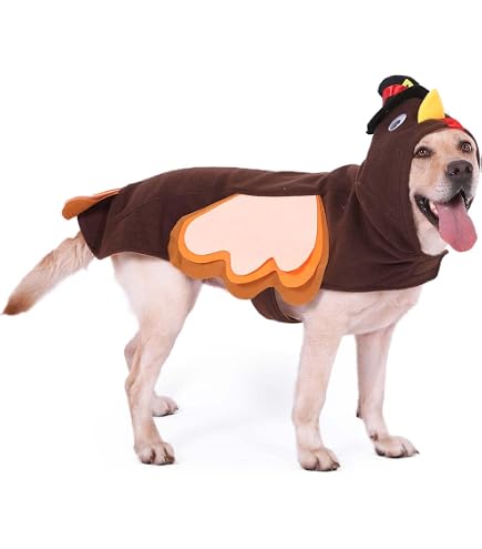 Dog Turkey Outfit