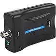 Amazon.com: BNC to HDMI Converter Adapter CVBS BNC HDMI Coax Connector ...