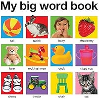Amazon.com: My Little Word Book (My Little Books): 9780312493875 ...