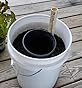 Amazon.com: Self Watering Bucket Garden (Set of 2) 5 gal Bucket Water ...