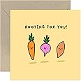 Amazon.com : Old English Co. Cute Good Luck Card for Him or Her ...