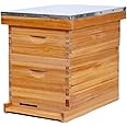 Amazon.com : Honey Lake 8-Frame Bee Hive 1 Brood Beehive Box and 1 ...