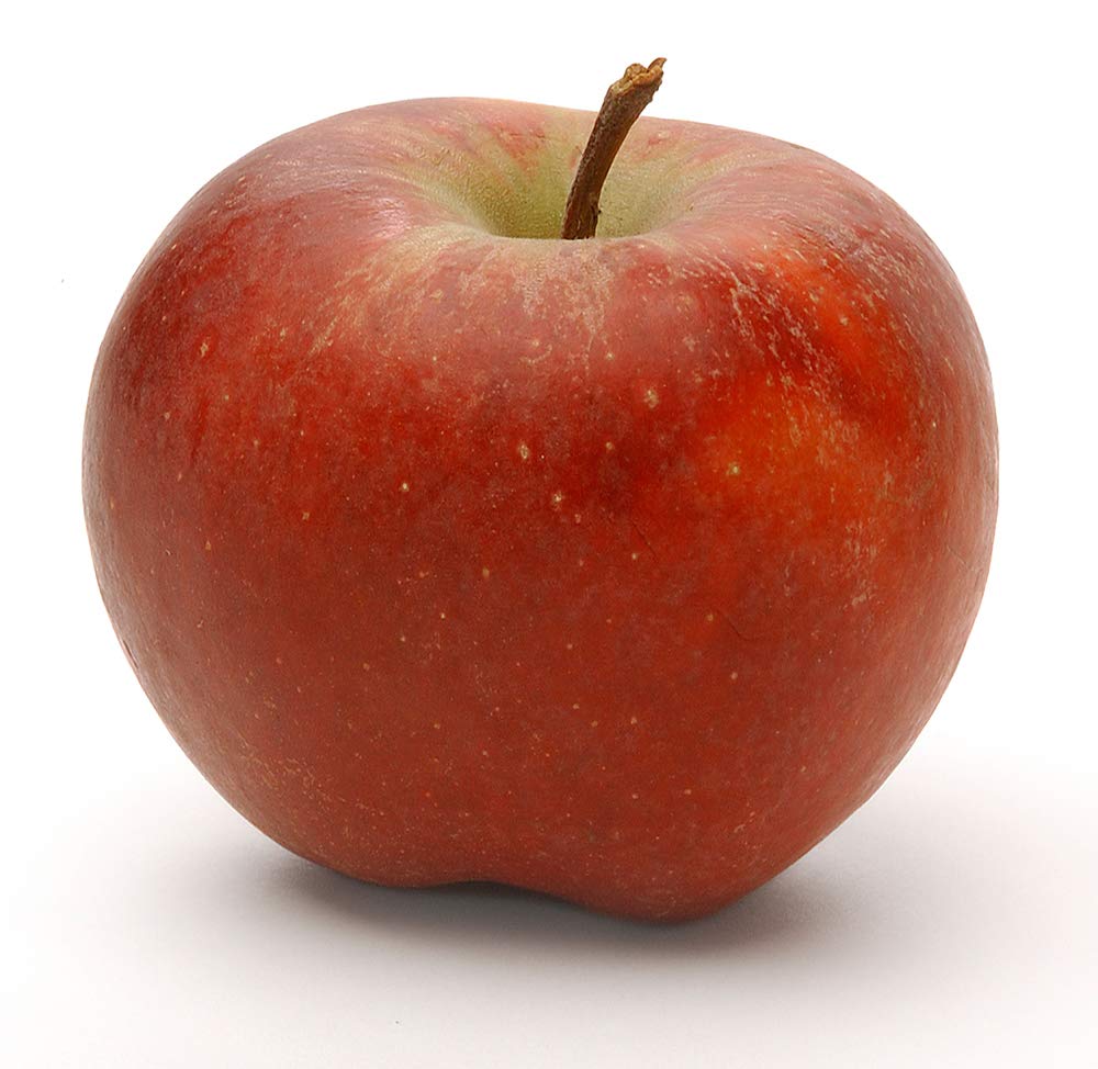 Obst & Gemüse Bio Apfel Gala (1 x 1000 gr): Amazon.de: Lebensmittel ...