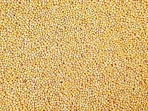 Amazon.com: White Millet Proso Bulk Bird Seed (10 Pounds): Pet Supplies