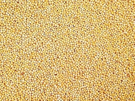 Amazon.com: White Millet Proso Bulk Bird Seed (10 Pounds): Pet Supplies