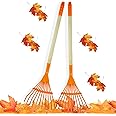 Amazon.com: CHEERBANK 2PCS Kid Rakes, 27" Lawn Rakes for Leaves, Child ...