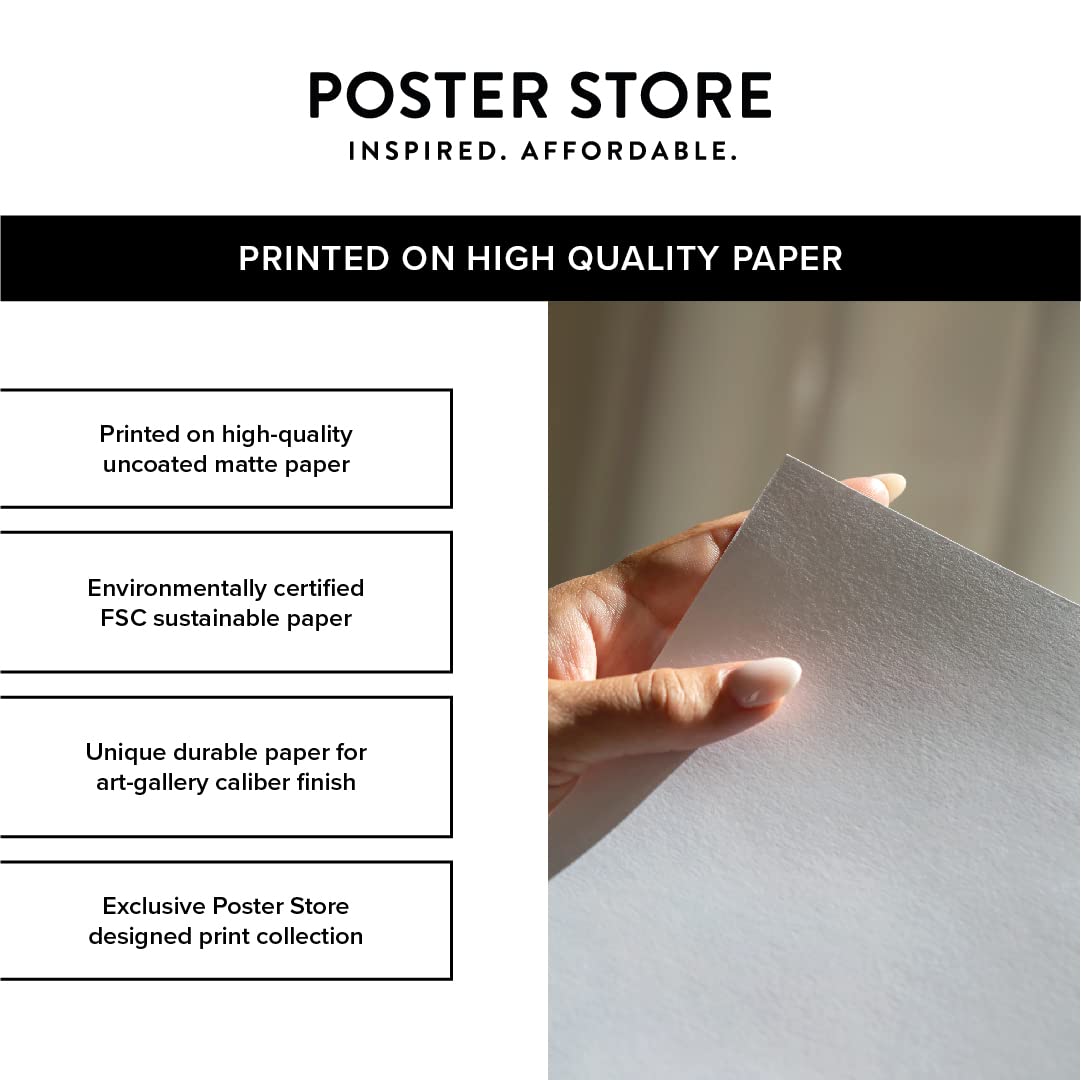 Poster Store Desert Vacation Set 12x16 - Vintage Travel Poster Prints ...