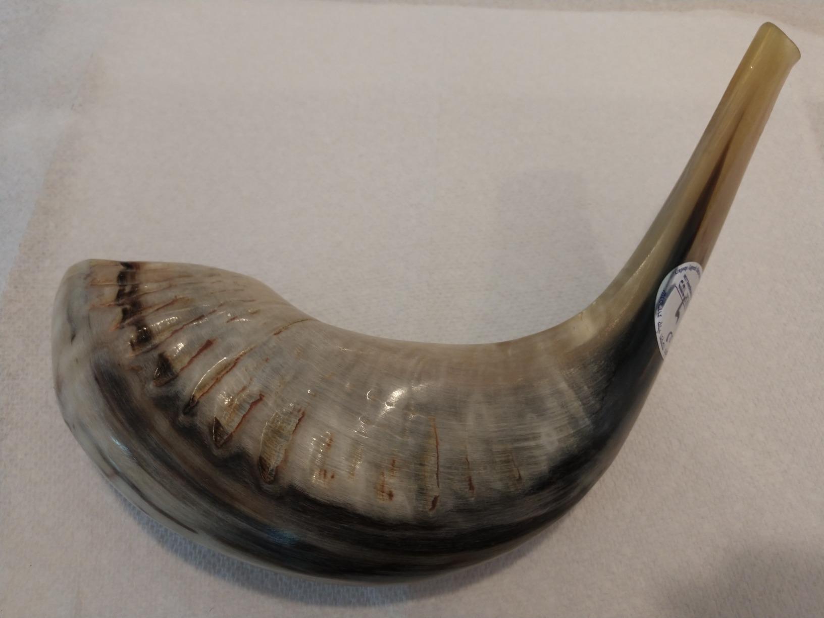 $10/mo - Finance Shofar Horn Instrument – RAM Shofar Angels Musical ...