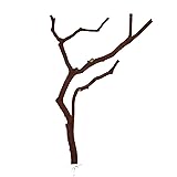 Amazon.com : Mac's Creations Large Manzanita Perch : Manzanita Branch : Pet Supplies