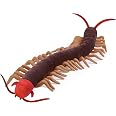 Amazon.com: FRANKIEZHOU Centipede Plush Animal - Brown 23.6 Inch ...