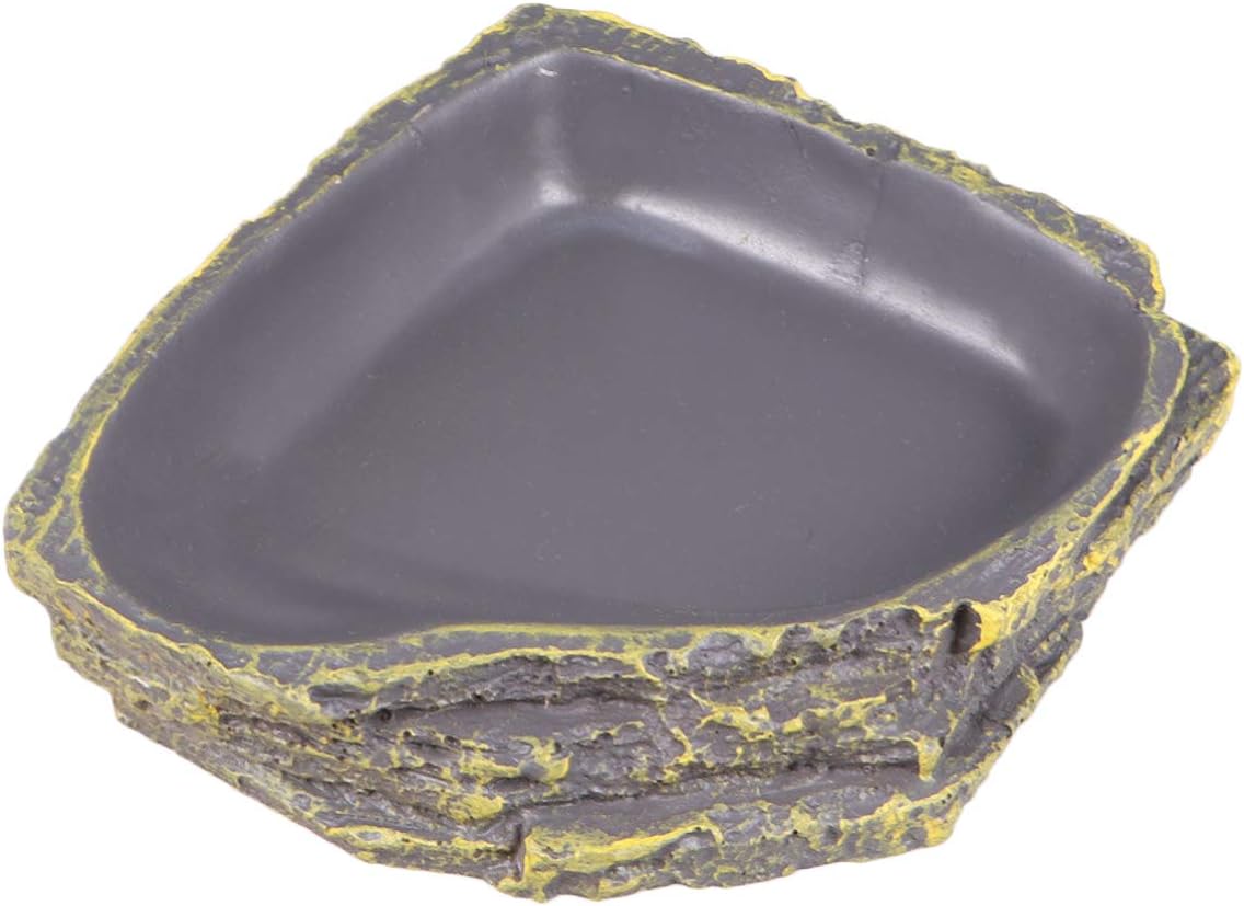 Amazon.com : POPETPOP Reptile Water Bowl - Lizard Turtle Feeder Feeding ...