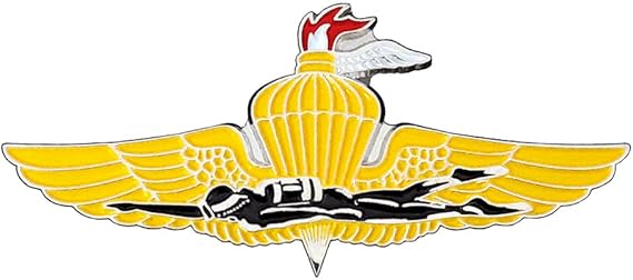 Amazon.com: US Marine Corps FORCE RECON, RECON MARINEs Insignia Large ...