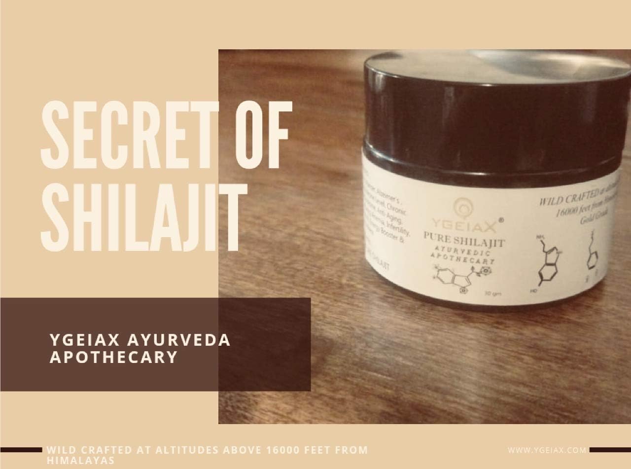 Shilajit fulvic Acid, Shilajit Resin, Authentic Shilajit, Himalayan ...